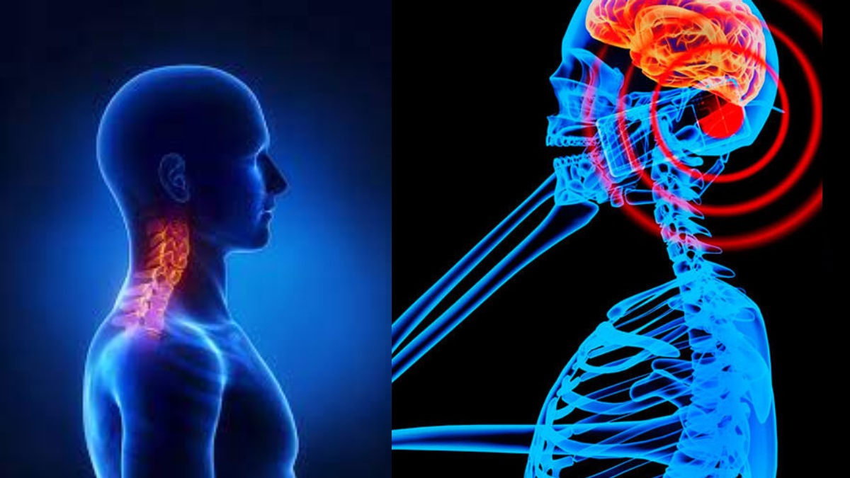 these are the most harmful radiation device: ಅತ್ಯಂತ ಹೆಚ್ಚು ಹಾನಿಕಾರಕ ...